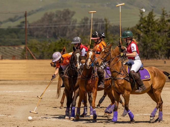 Pony Up: OSU Polo President strives to keep club afloat | Local News ...