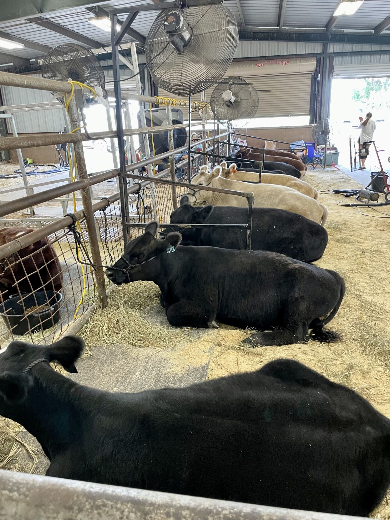 Payne County Fair Board plans Expo Center livestock barn upgrade ...