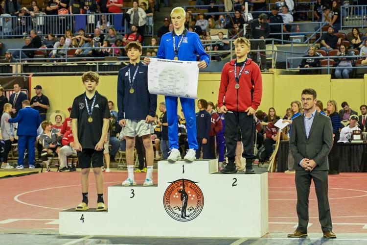 Three Pioneer boys wrap state tournament as champions | Sports ...