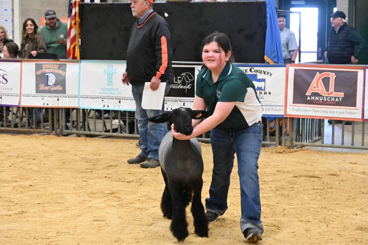 Cool and collected: Perkins 4-H member keeps positive attitude at ...