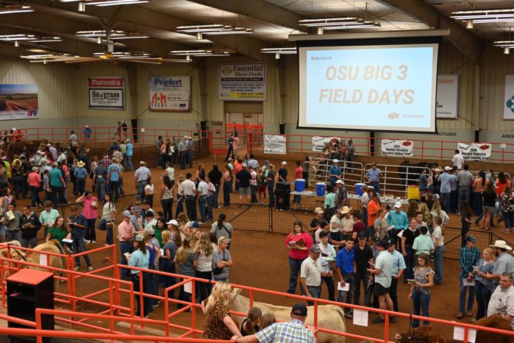 Students prepare for a future in agriculture at Big 3 Field Day | News ...