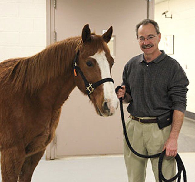 After the storms | Local News | stwnewspress.com