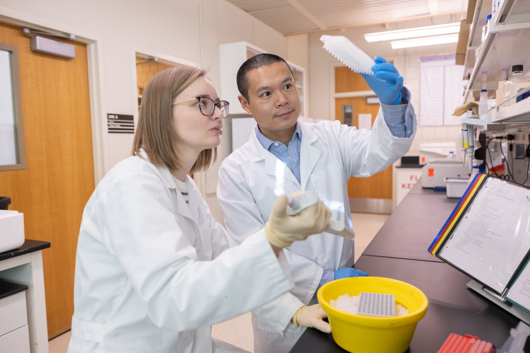 Cheng receives 2025 OSU Excellence in Research Mentoring Award | News ...