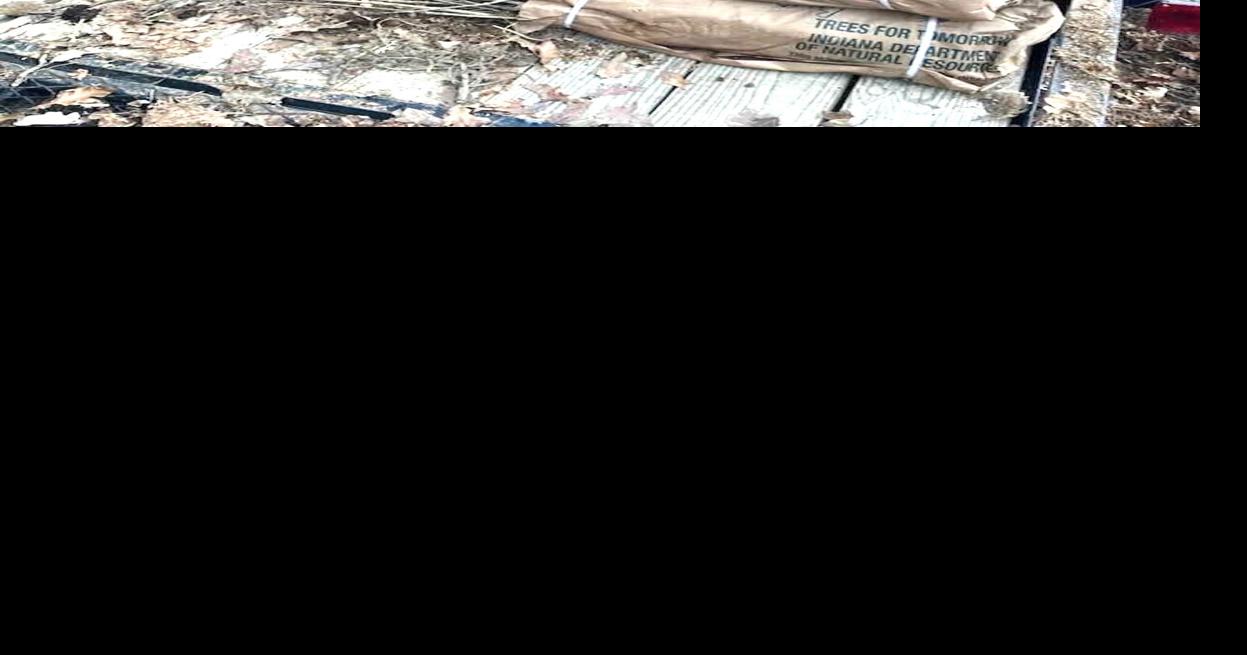 Pike State Forest receives 27K newly planted trees | Community ...