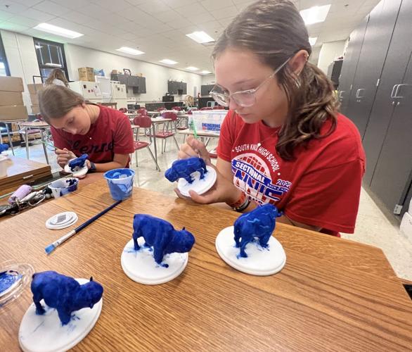 From disappointment to determination | News | suncommercial.com