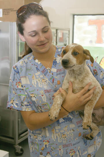 S.P.O.T. hits milestone | Archives | suncommercial.com