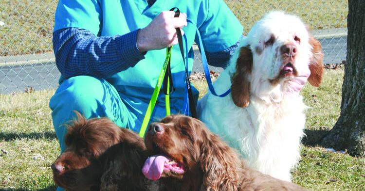 Historic Westminster champ has Greencastle roots | Archives ...