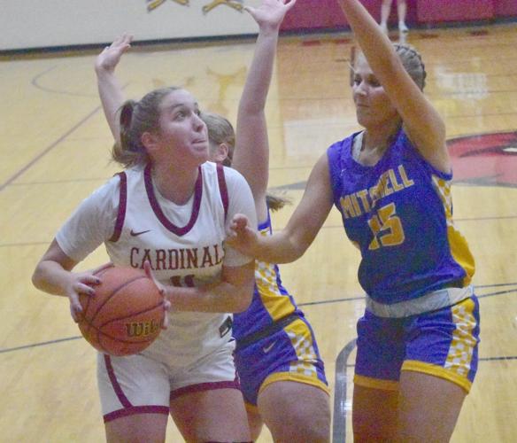 Bloomfield girls defeat Mitchell 40-31 in hoops opener | Sports ...
