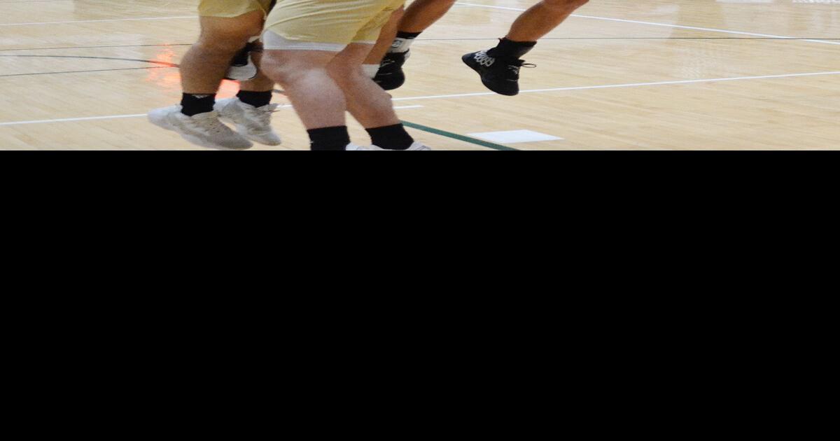 Alices make rally stick | Sports | suncommercial.com