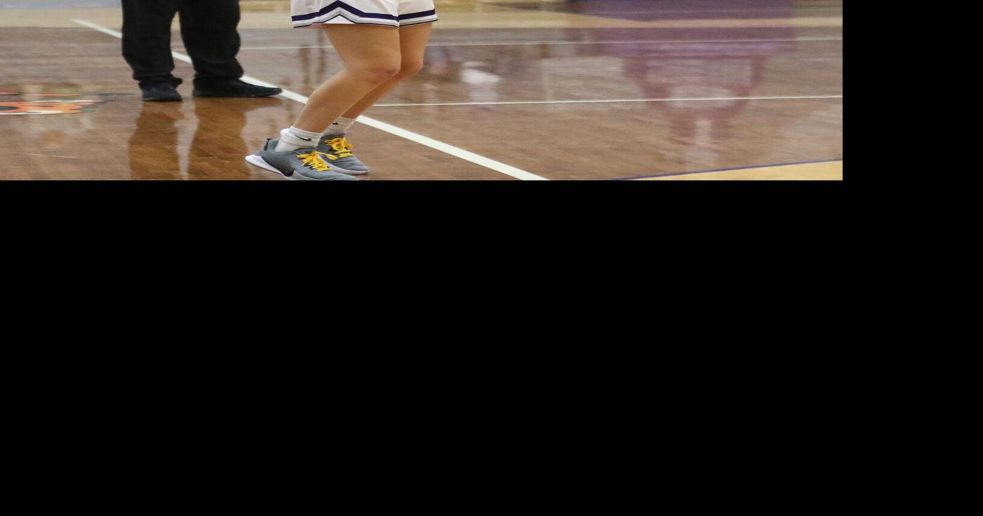 GIRLS' BASKETBALL PREVIEW: Greenlee takes reins as Tiger Cubs look for ...