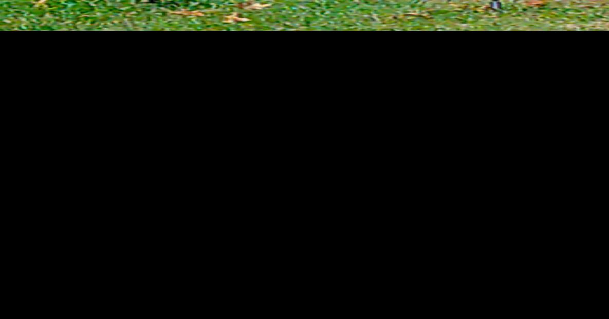 More spooky sites to visit | Brazil Times | suncommercial.com