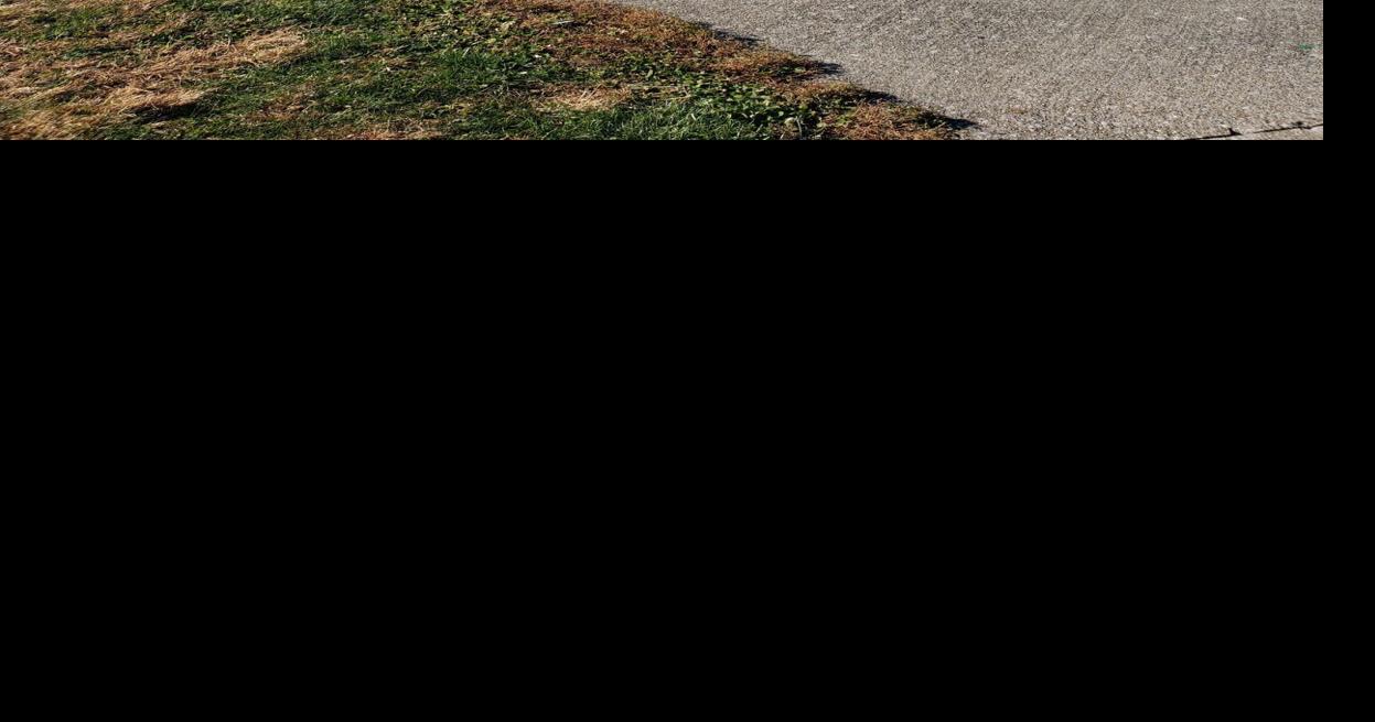 Petersburg Elementary School | Press Dispatch | suncommercial.com