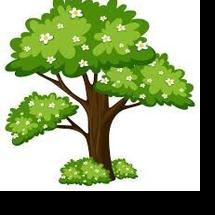 Annual tree giveaway set for Saturday morning | Banner Graphic ...