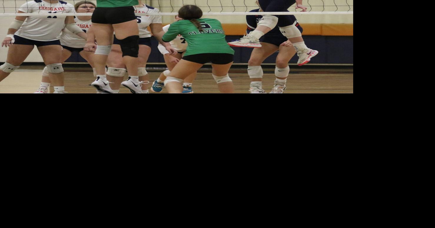 Ashleigh Riley named Putnam County Volleyball Player of the Year ...