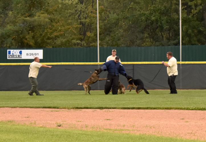 K-9 units take Vincennes | News | suncommercial.com