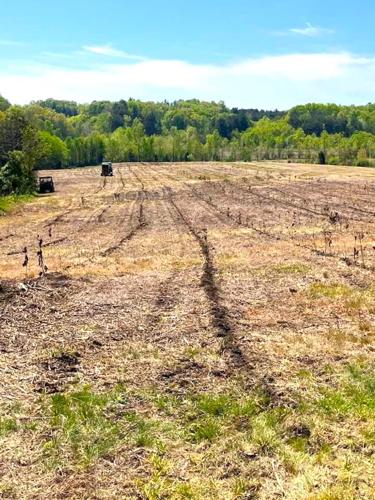 Pike State Forest receives 27K newly planted trees | Community ...