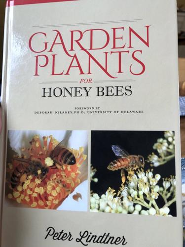 Tree program earns CCSWCD honors | Archives | suncommercial.com