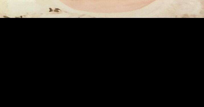 Andrea Jo Brust | Press Dispatch | suncommercial.com