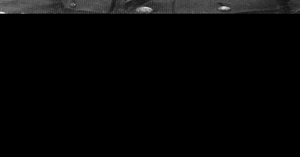 John ‘Jack’ Waldron | Archives | suncommercial.com