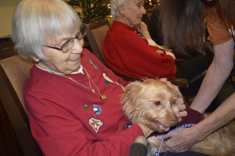 Dog show at Fox Ridge Manor | News | suncommercial.com