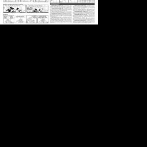 Page A5 | Banner Graphic | suncommercial.com