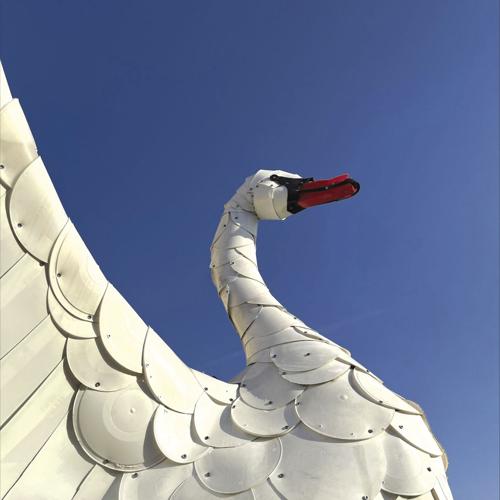 Nordic Swan at Museum of Danish America | Lifestyle | swiowanewssource.com
