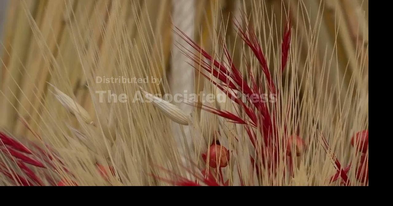 Ukrainians revive traditional wheat craft during wartime Christmas ...