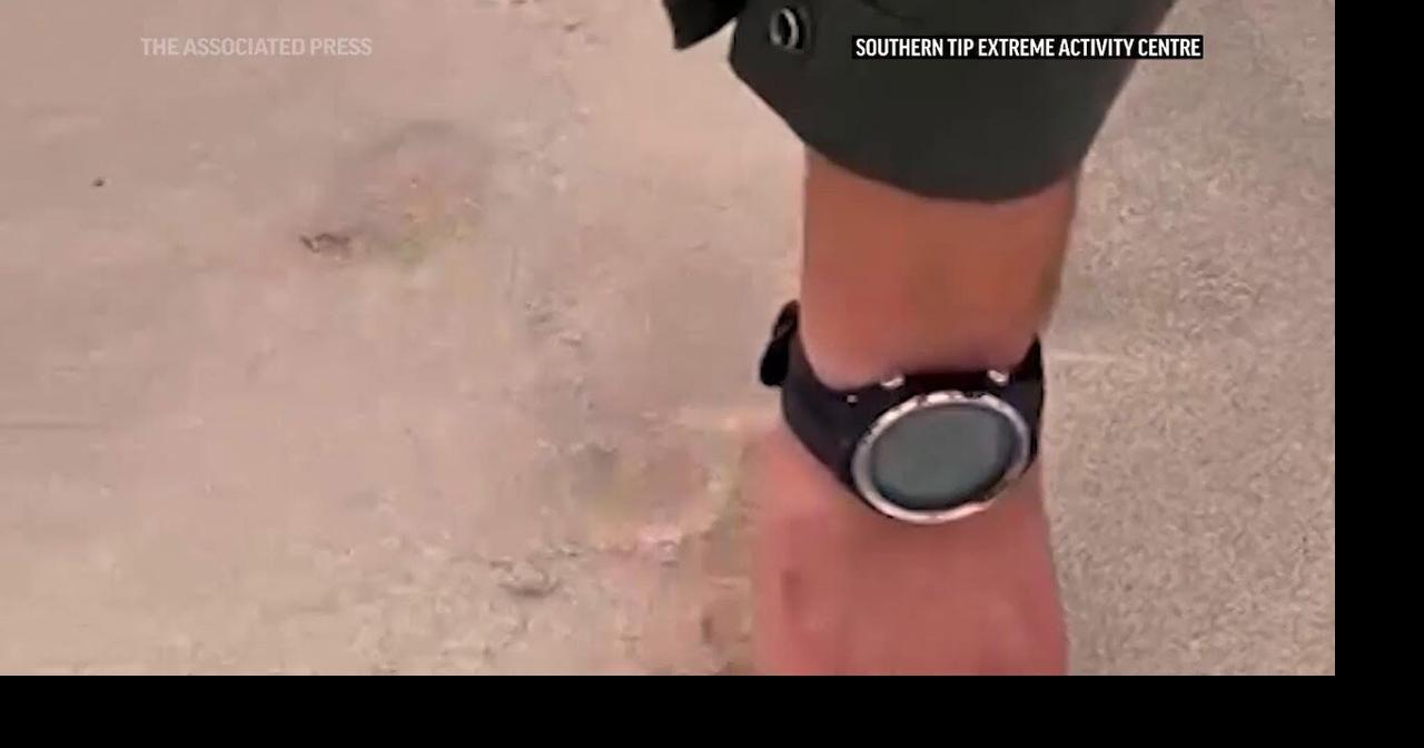 Hundreds of baby sea turtles rescued after rare storm in South Africa ...