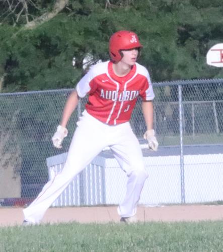 PHOTO COLLECTION: Audubon vs. CAM baseball – Wednesday, July 2, 2025 ...