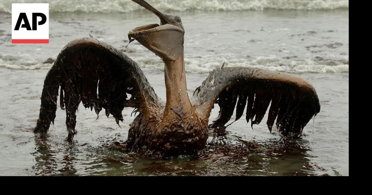 Archive footage of BP's Deepwater Horizon oil spill in 2010 ...