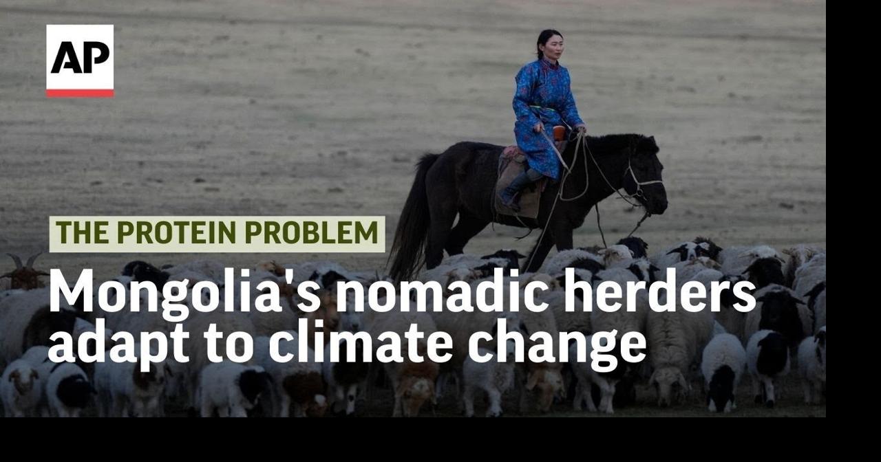How Mongolia's nomadic herders adapt to climate change | The Protein ...