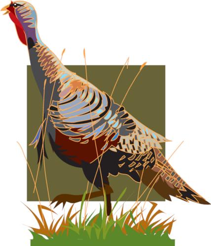 OUTDOOR NEWS: Iowa’s spring turkey season is right around the corner ...