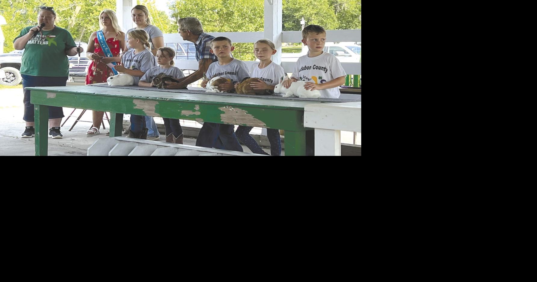 Audubon County Fair Rabbit Show Champions | Lifestyle ...