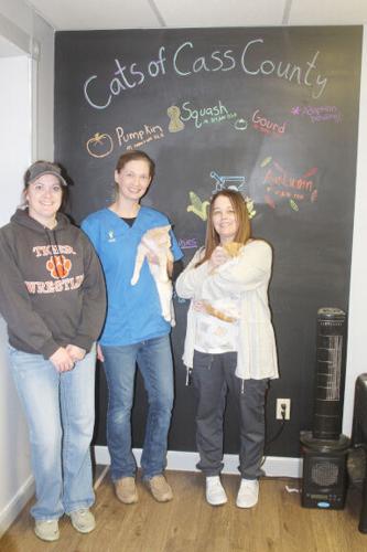 Cats of Cass County | Atlantic | swiowanewssource.com