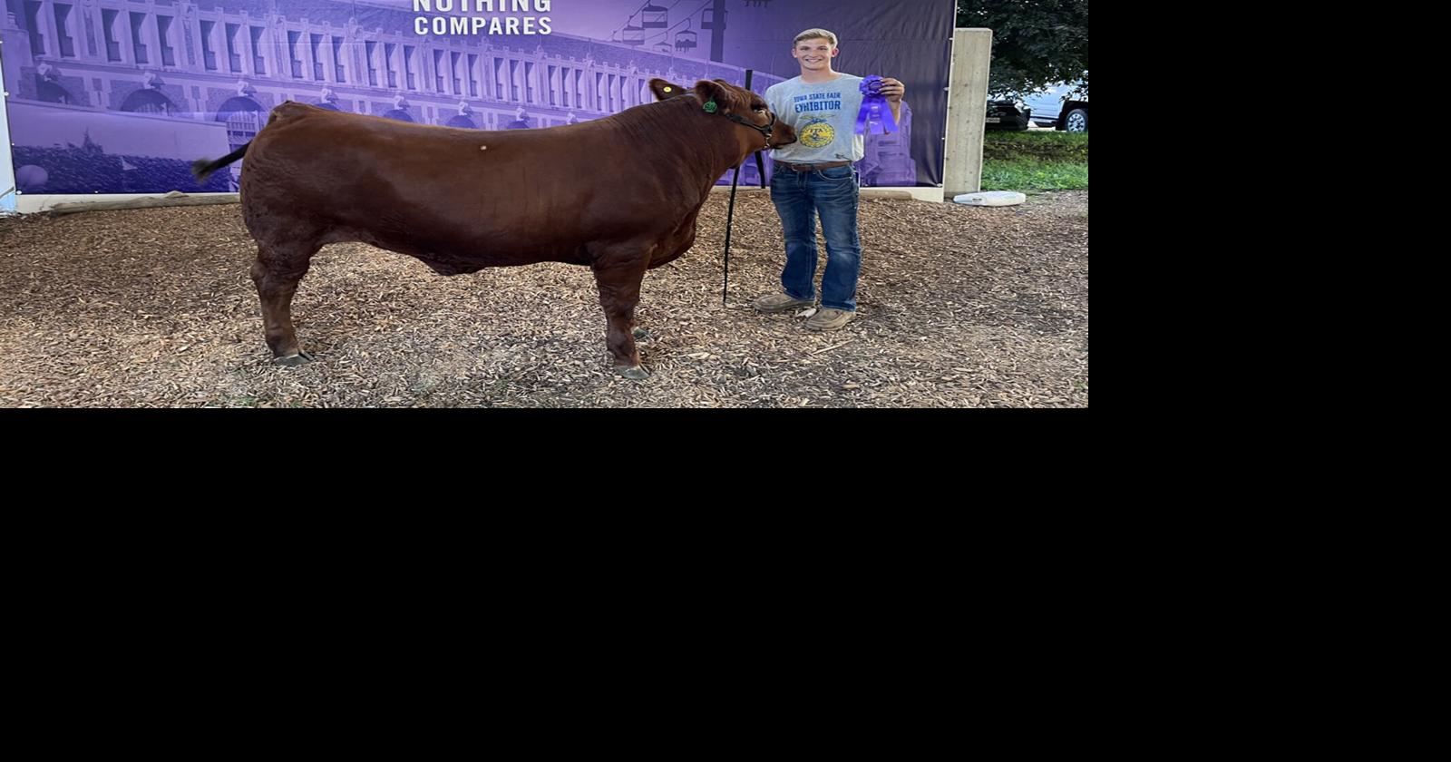 Audubon FFA at the Iowa State Fair | Lifestyle | swiowanewssource.com