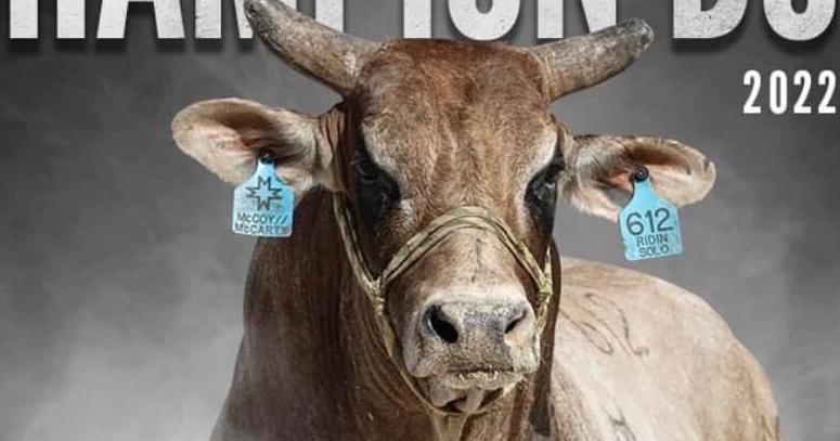 McCoy Rodeo brings Pro Rodeo back to Atlantic | Atlantic ...