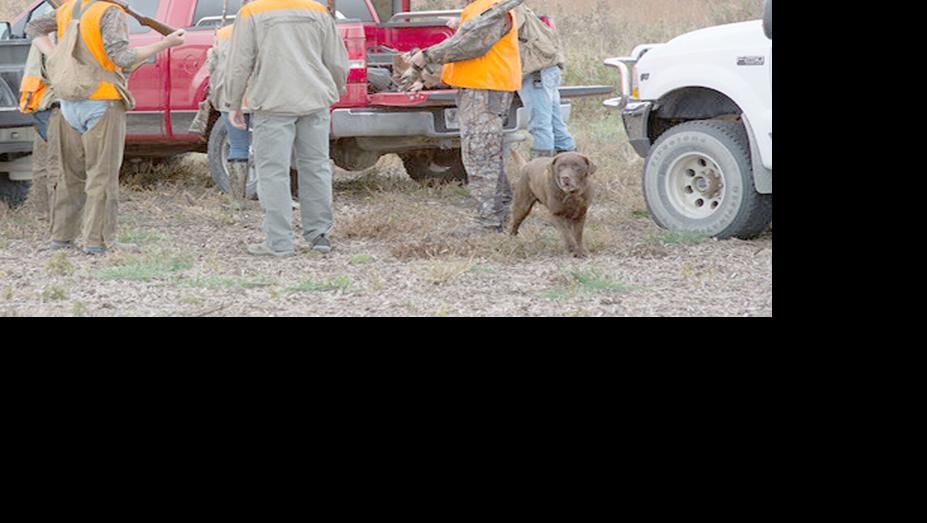 OUTDOOR NEWS: Iowa’s pheasant hunting Thanksgiving tradition | Sports ...