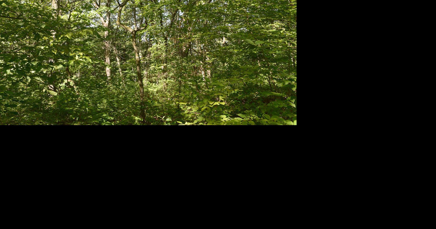 OUTDOOR NEWS: Rugged and remote, Tubaugh Wildlife Area packs a lot into ...