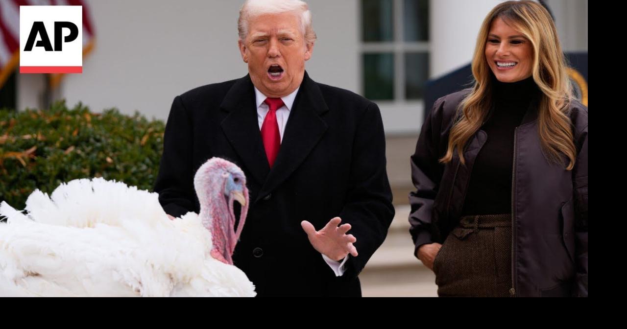 Trump pardons turkeys but roasts Chuck Schumer, Nancy Pelosi and Biden ...