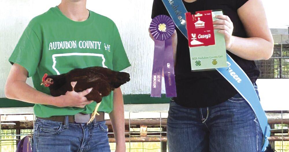 Audubon County Fair 4-H Poultry Show | Lifestyle | swiowanewssource.com