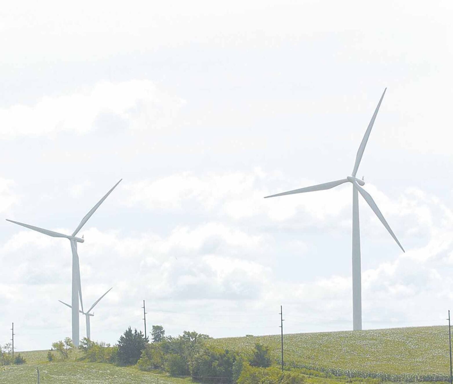 Wind farm company supporting area causes | Audubon | swiowanewssource.com