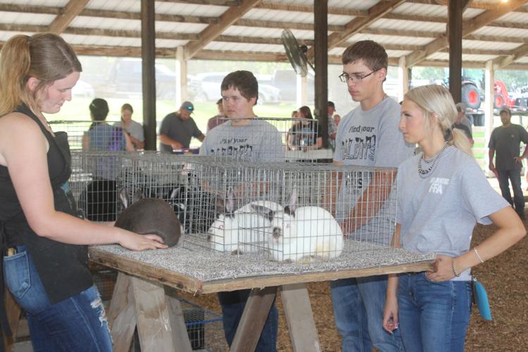 PHOTO COLLECTION: Cass County Fair for Friday, July 25 | News ...
