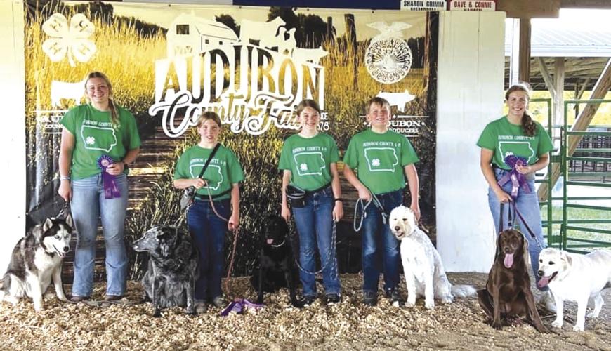 Audubon County Fair 4-H Pet and Dog Show | News | swiowanewssource.com