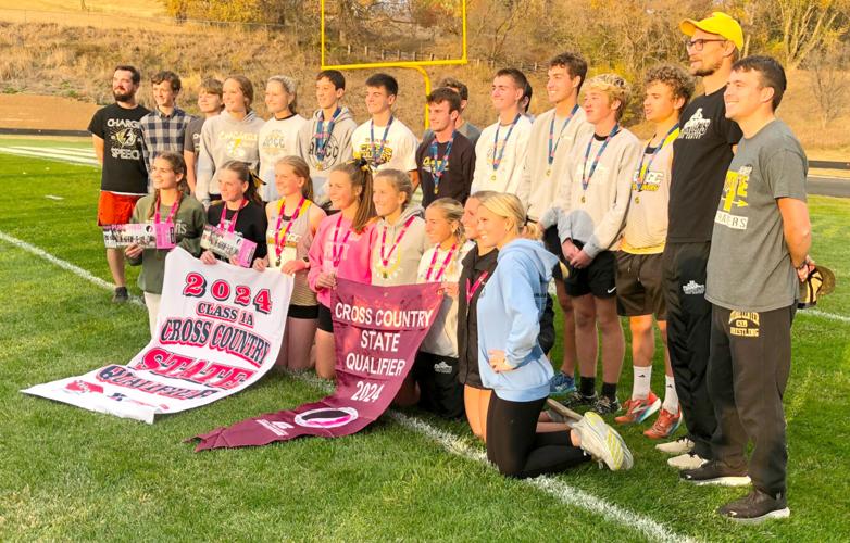 IOWA CLASS 1A CROSS COUNTRY: ACGC sweeps team titles at own SQM ...