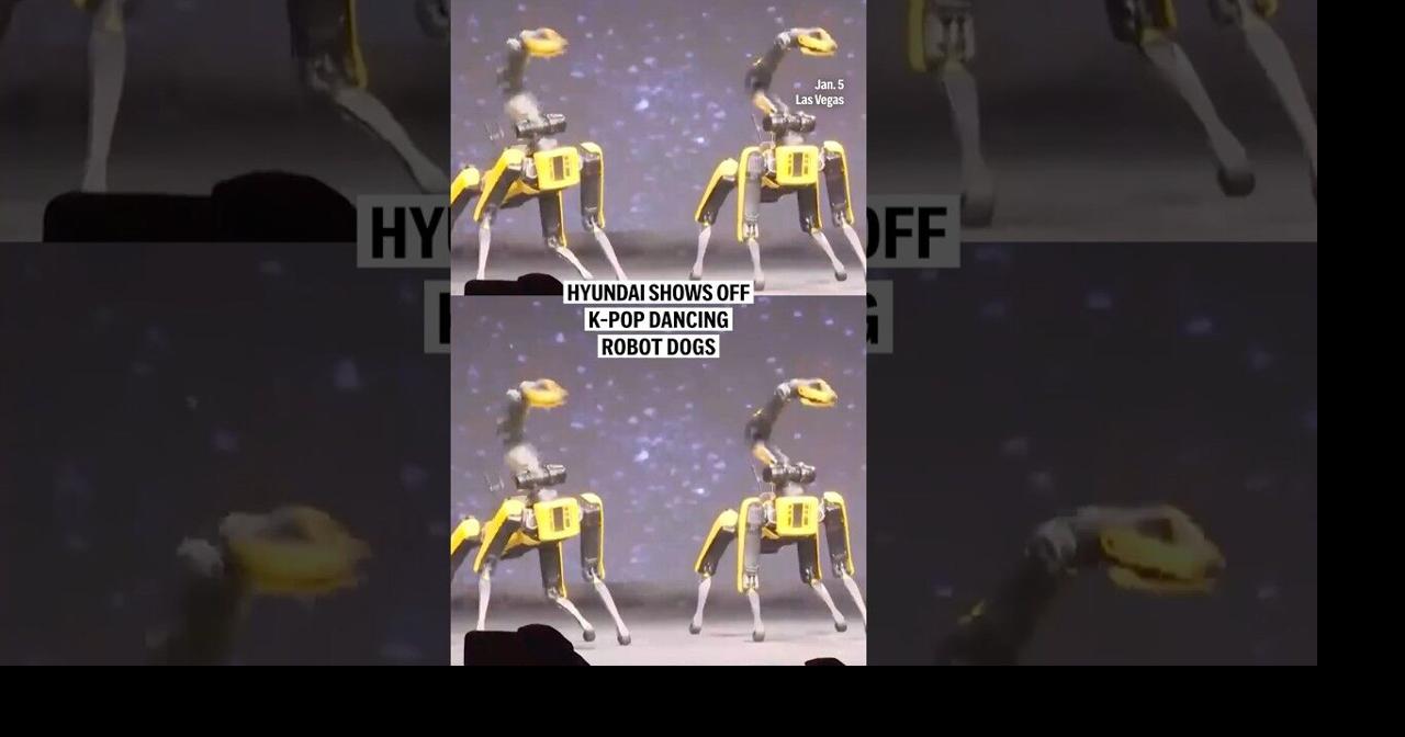 Hyundai shows off K-pop dancing robot dogs | | swiowanewssource.com