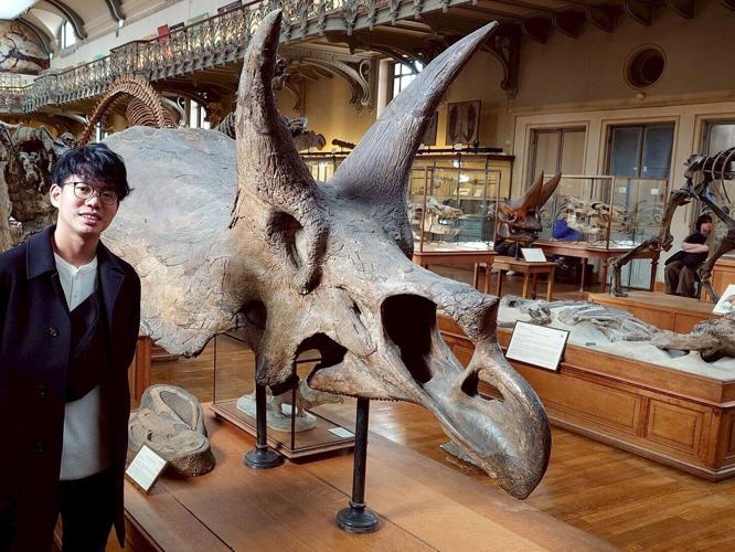 Study finds triceratops’ huge nose helped control body temperature ...
