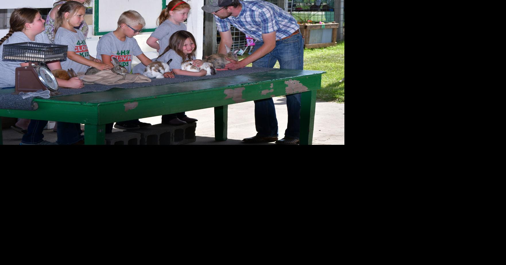2024 Audubon County Fair - Rabbit Show | Audubon | swiowanewssource.com