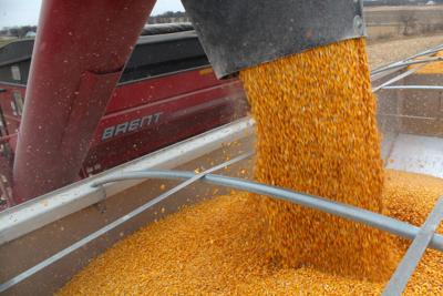 House pushes for Iowa grain indemnity updates, including credit sales ...