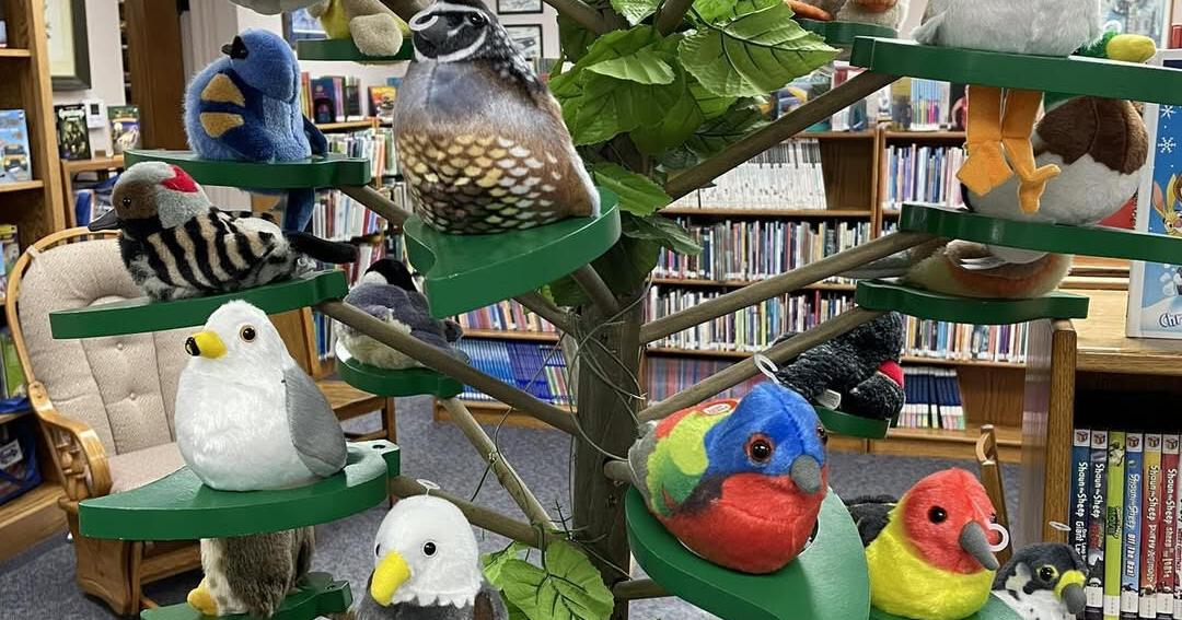 Audubon Public Library welcomes new birds | Audubon | swiowanewssource.com