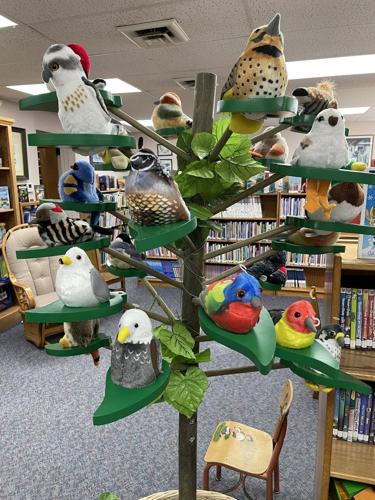 Audubon Public Library welcomes new birds | Audubon | swiowanewssource.com